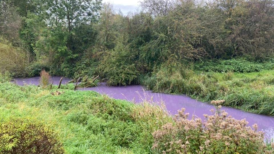 Mystery surrounds purple river | Local News | about HERTFORD